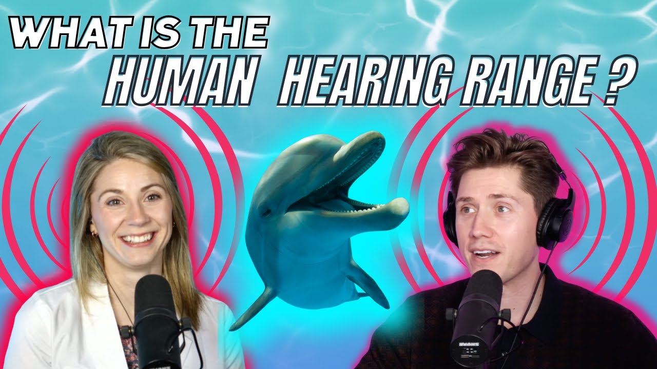 Ep. 62 The Human Hearing Range EXPLAINED (frequency, loudness, pitch ...