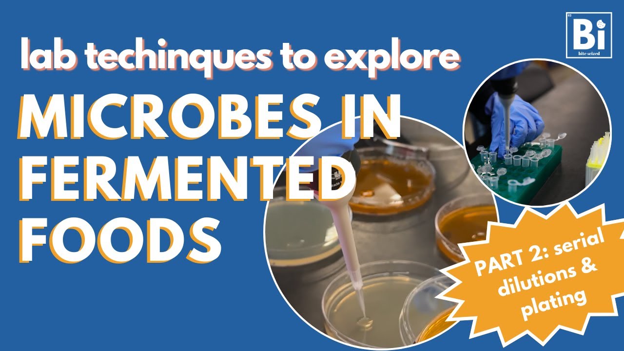 Lab Techniques to Explore Microbes in Fermented Products: Part 2 ...
