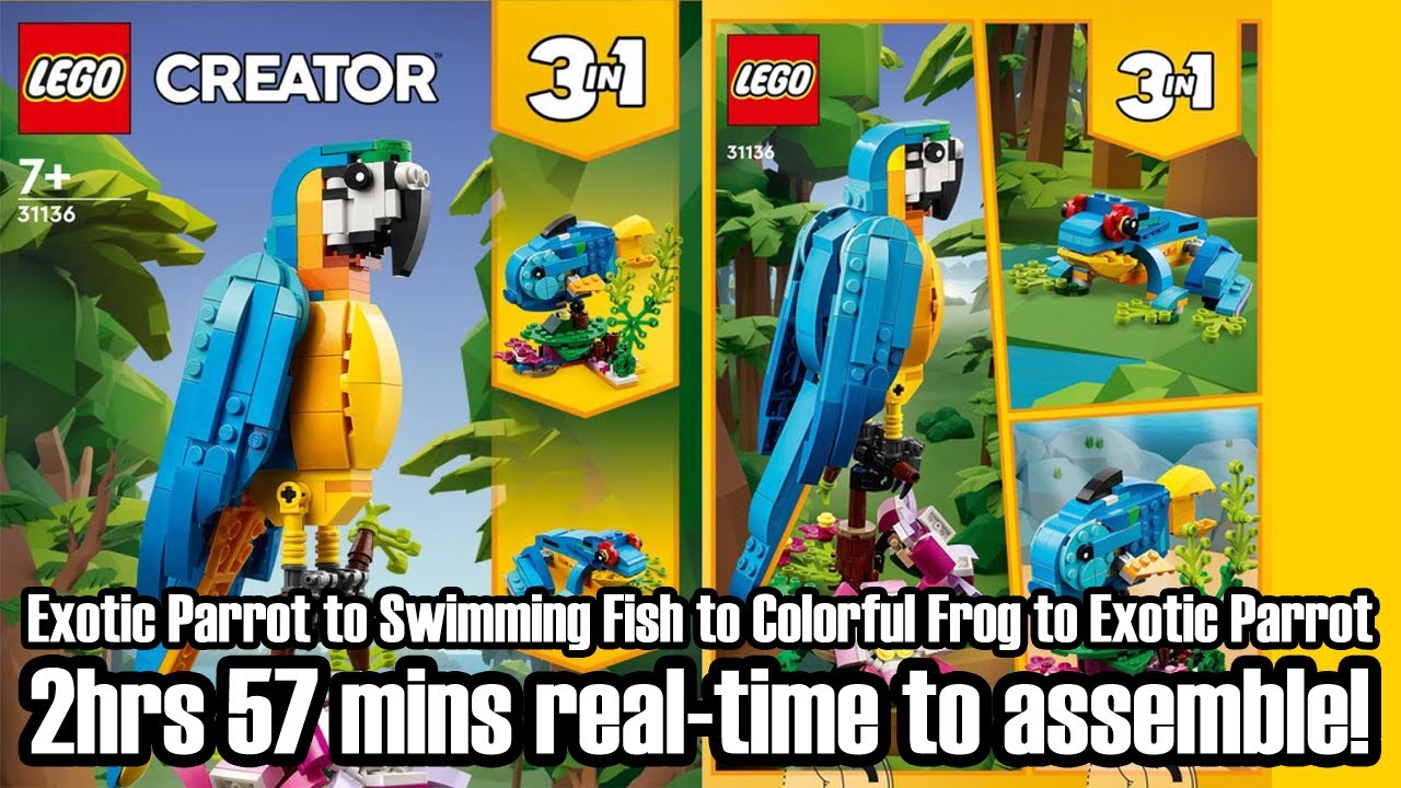 Assembling LEGO Creator 31136 - Exotic Parrot to Swimming Fish to ...