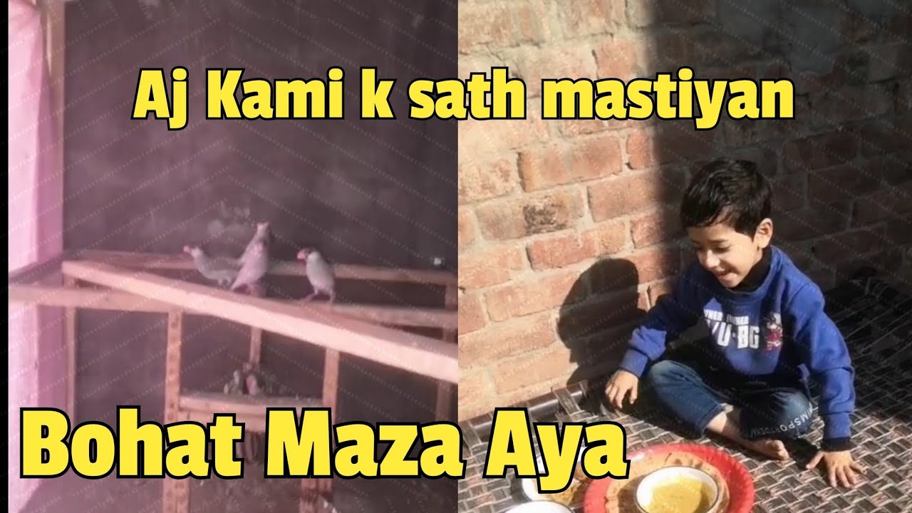 aj kami k sat nashta kia/aur jawa aur love bird ️/ki batay ki bohat ...