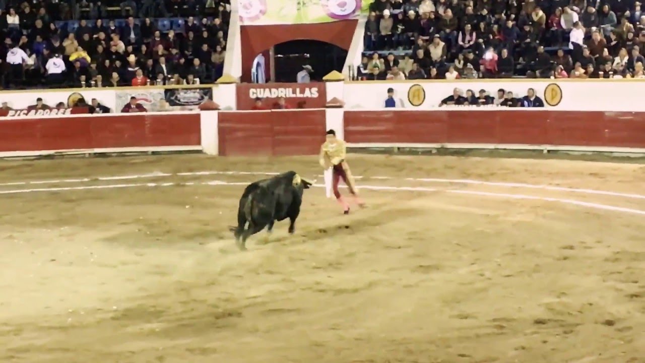 Brutal Bull Fight accident - YouTube