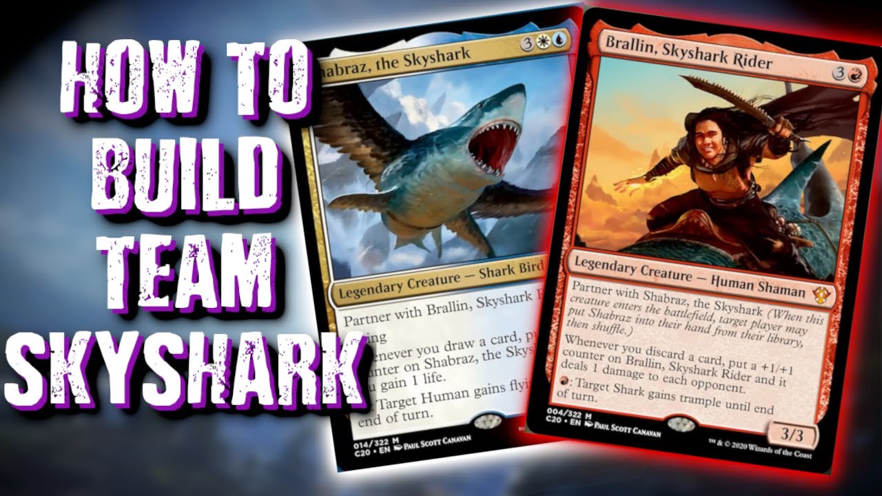 How To Build Team SkyShark: Brallin and Shabraz Build Guide - Combo and ...