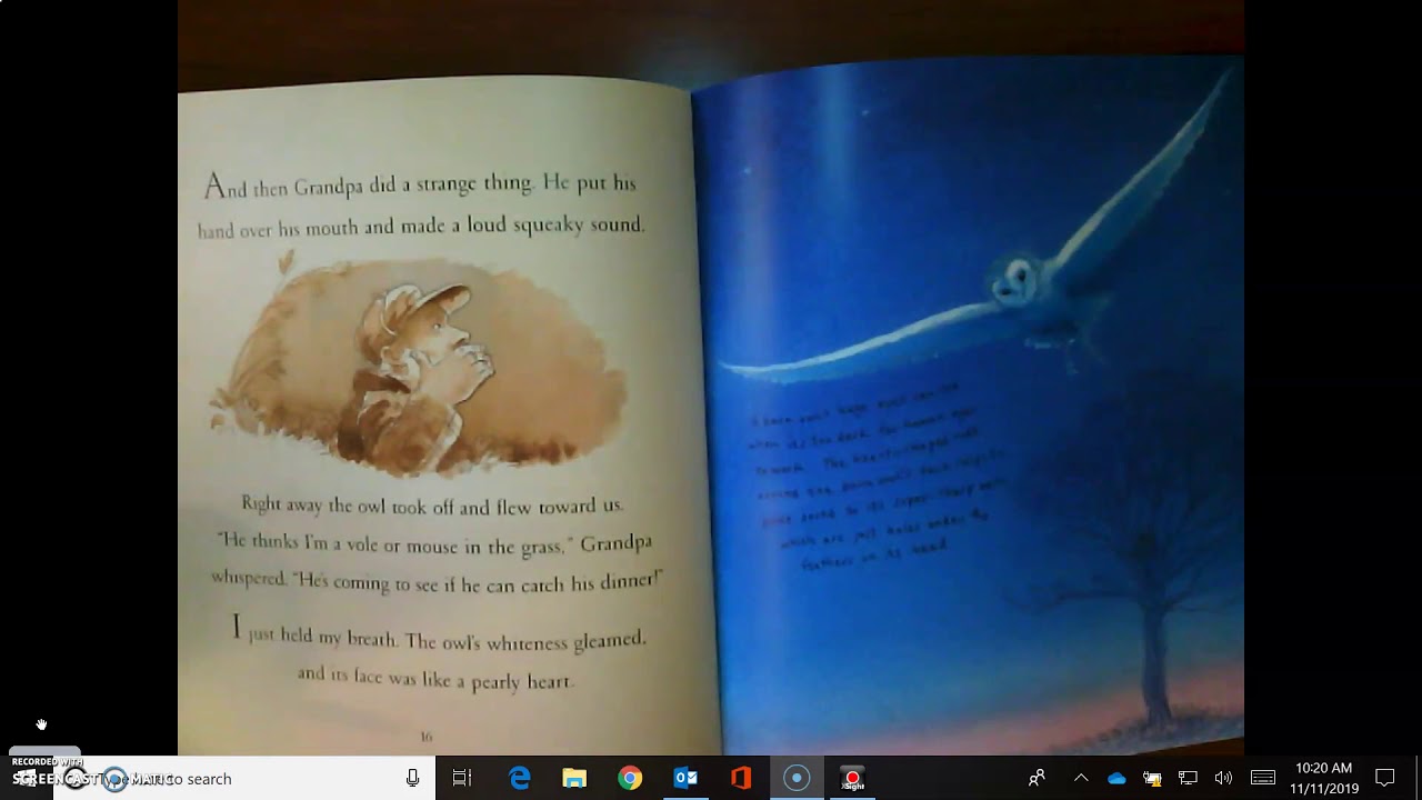 White Owl Barn Owl - YouTube