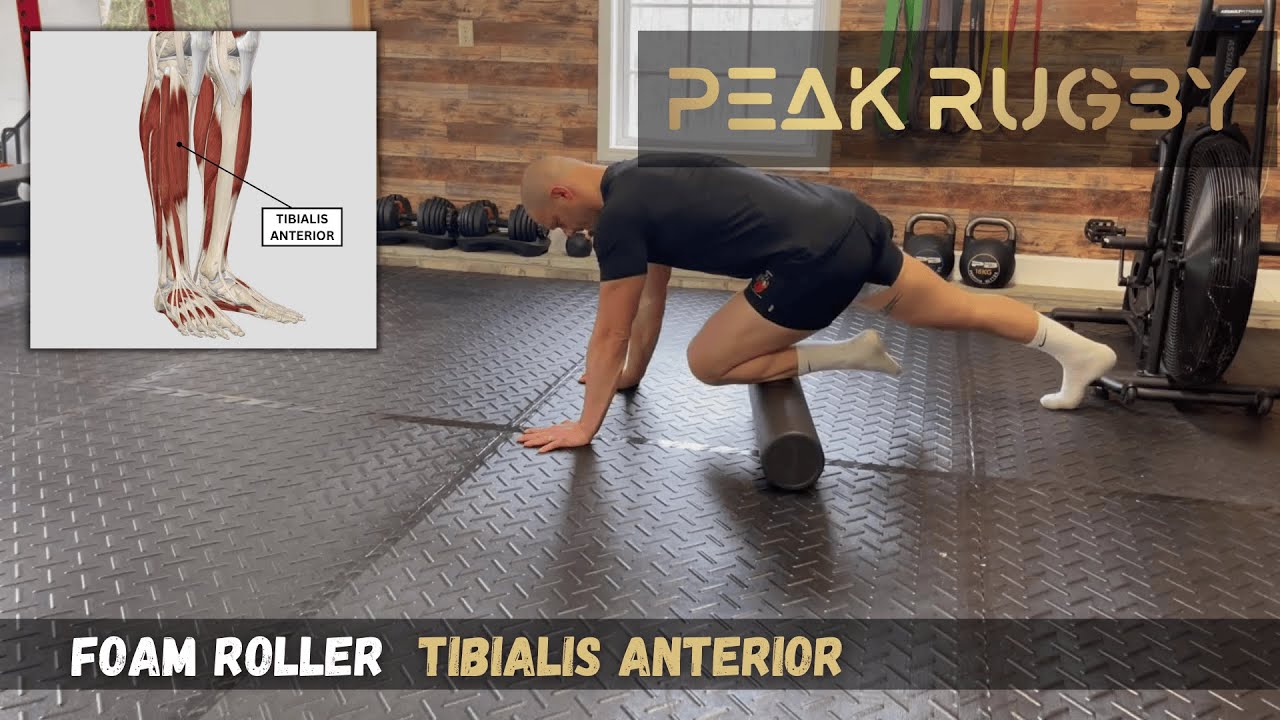 How to Foam Roll Anterior Tibialis | Shin Release & Recovery Exercise ...