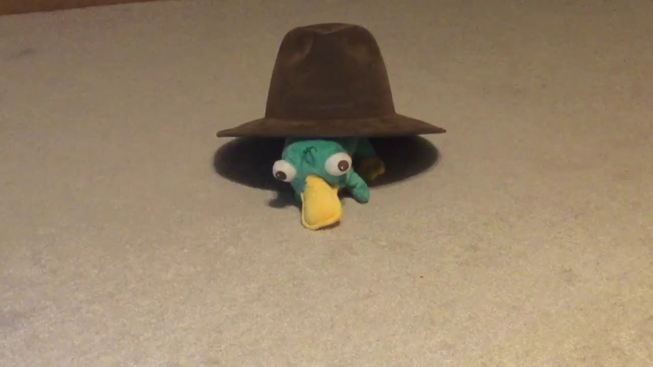 Perry The Platypus in real life - YouTube