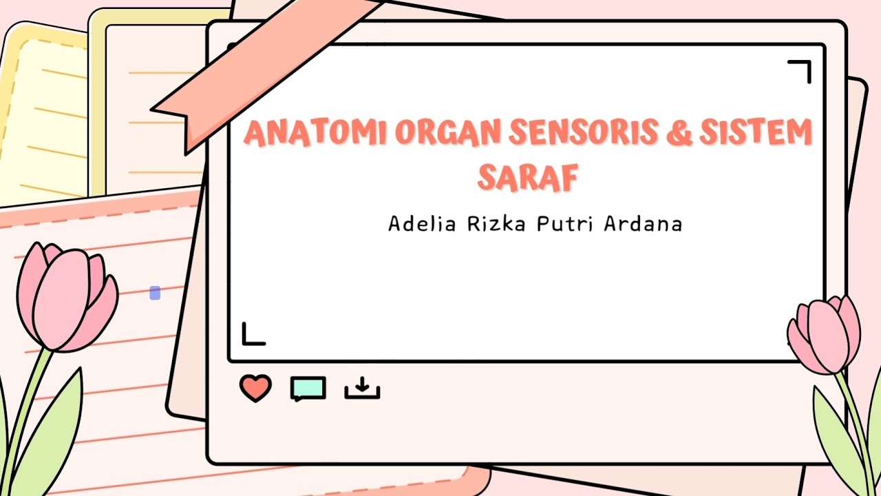 ANATOMI ORGAN SENSORIS & SISTEM SARAF - YouTube