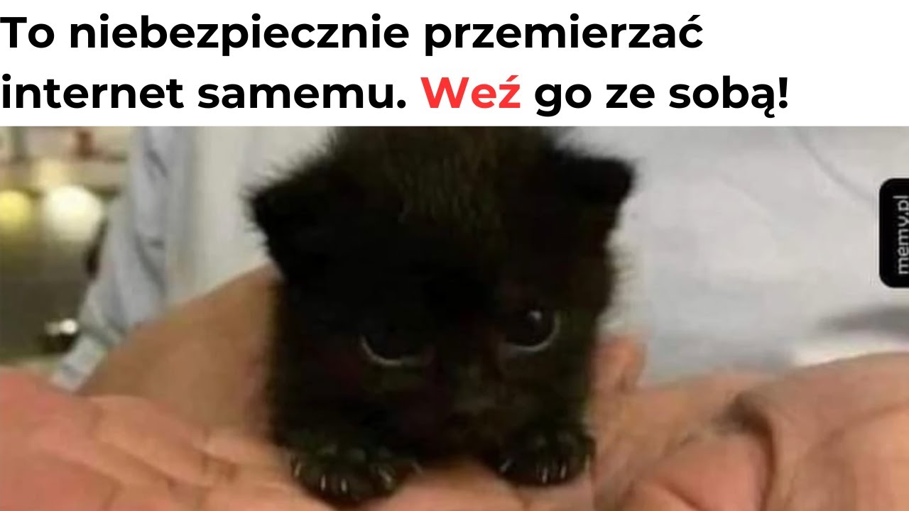 Najlepsze Memy Miesiąca |1|🤣 | 40 MINUT MEMÓW | Polskie memy 2023 ...