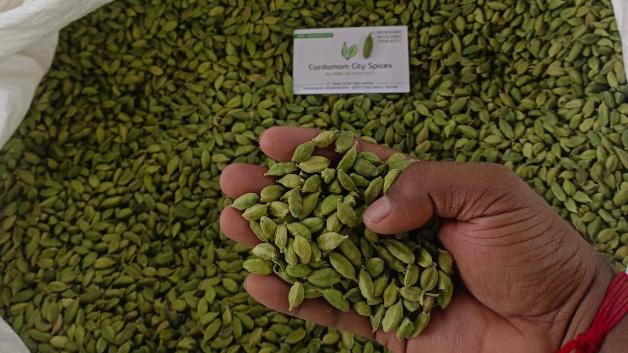CARDAMOM TODAY PRICE 28/5/2024 SPICES BOARD E-AUCTION LIVE # ...