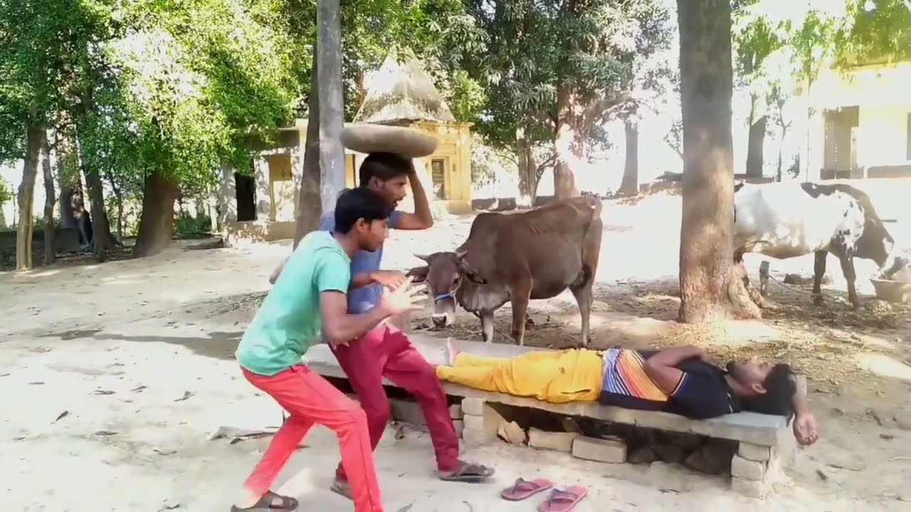 new must watch funny comedy 2023 most viral comedy video top amazing ...