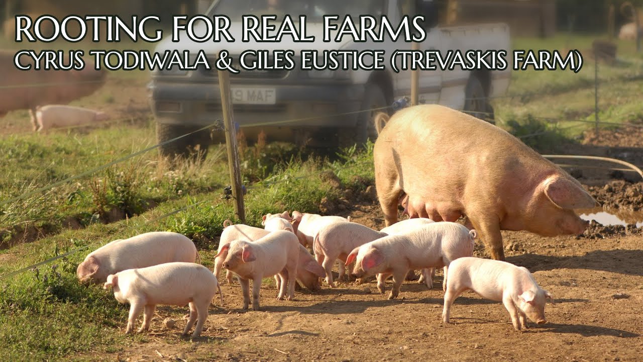 Rooting for Real Farms: Cyrus Todiwala & Giles Eustice (Trevaskis Farm ...