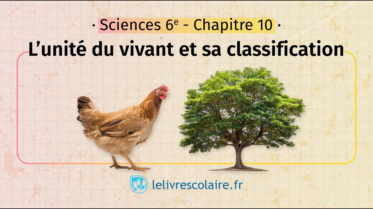 L’unité du vivant et sa classification (Sciences et Technologie 6e ...