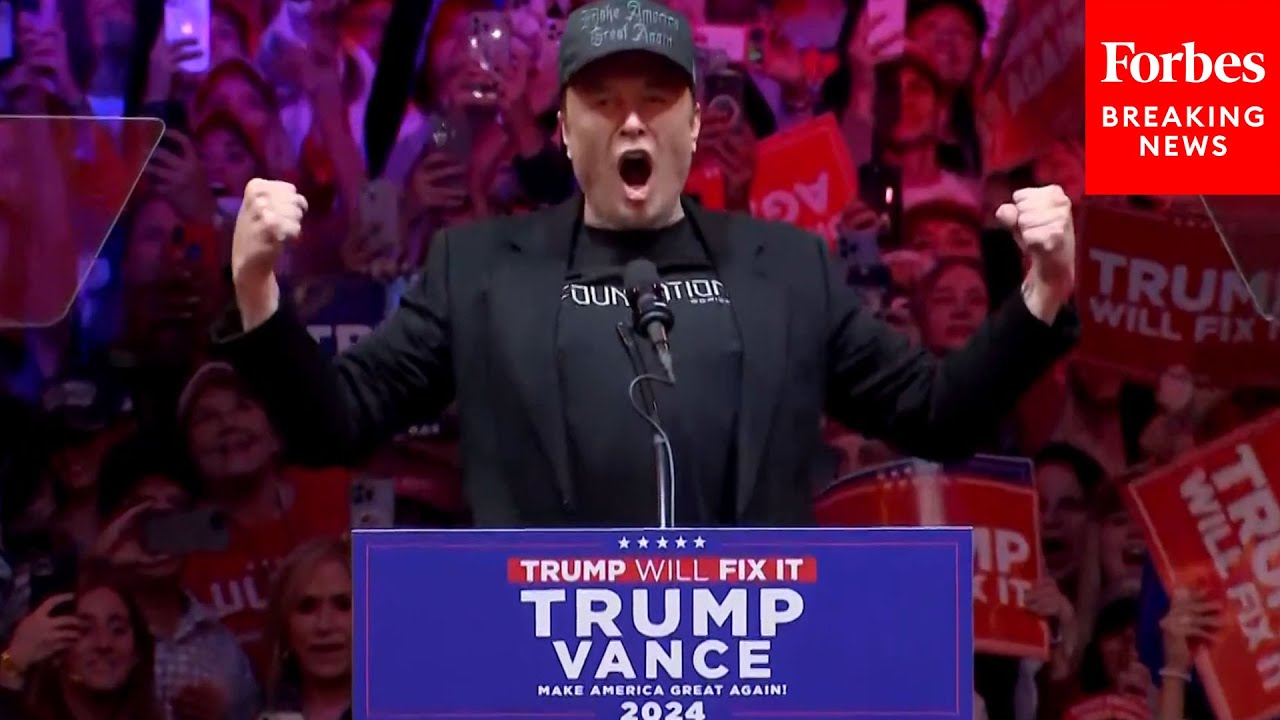 'Dark Gothic MAGA' Elon Musk Says He Can Cut At Least $2T From Federal ...