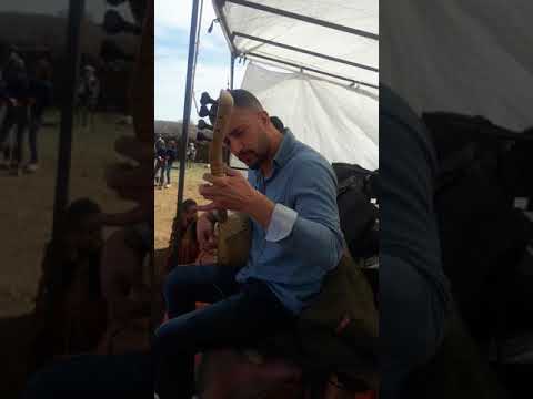 (bomba gibi ağır delilo) Koma Gel 2018 (Grani Erdi)