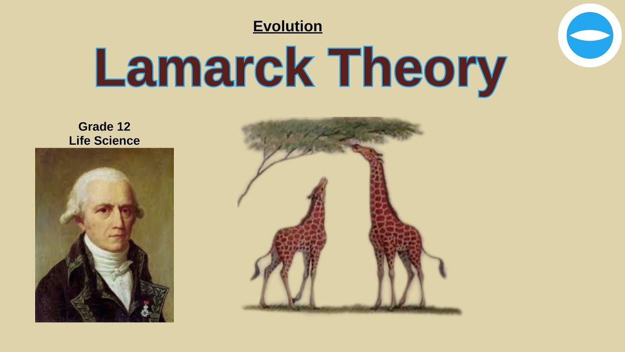 Evolution | Lamarck and Darwin Theory | Giraffe concept | Life Science ...