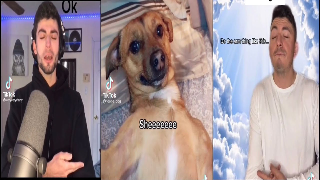 Funniest Heavenly Sheesh TikTok Compilation - YouTube