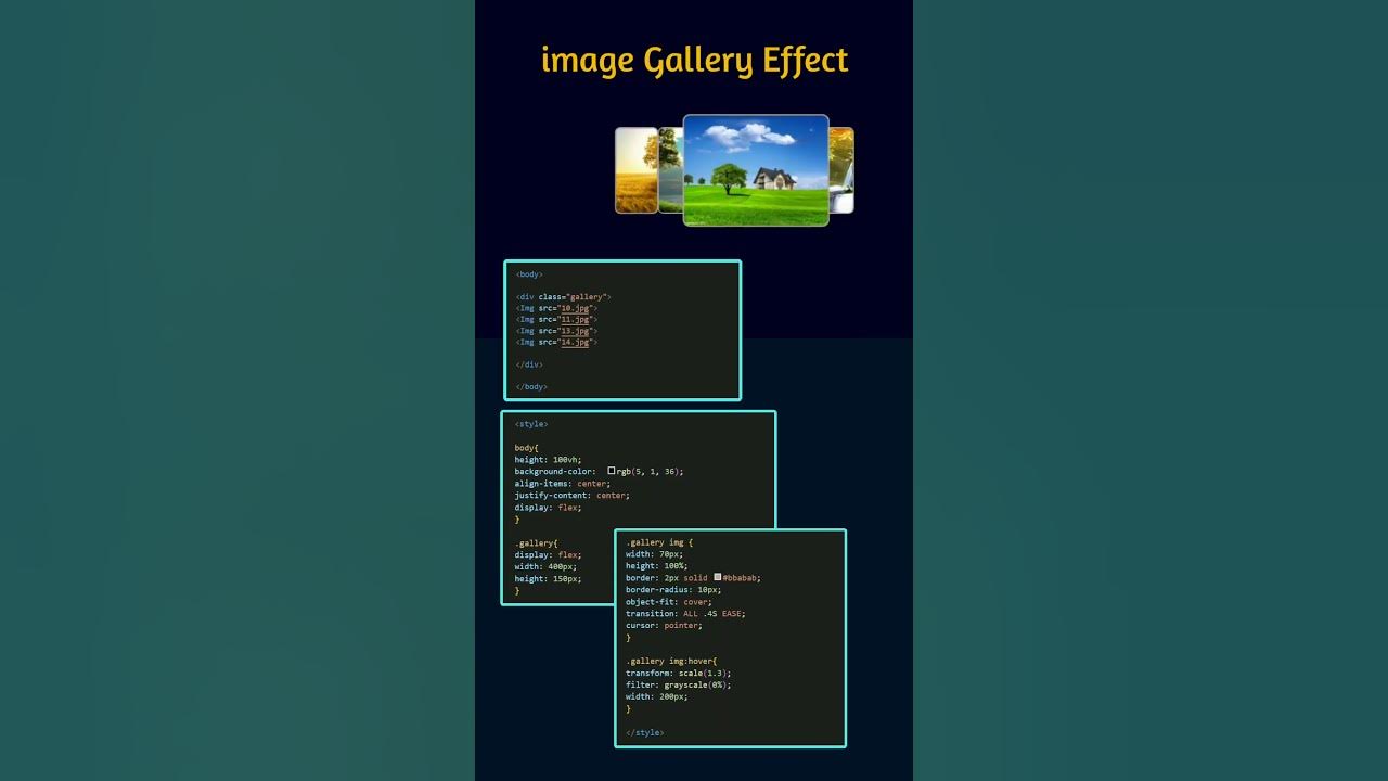 How to make an Expanding image Gallery hover effect using html and css #css #html #programming ...
