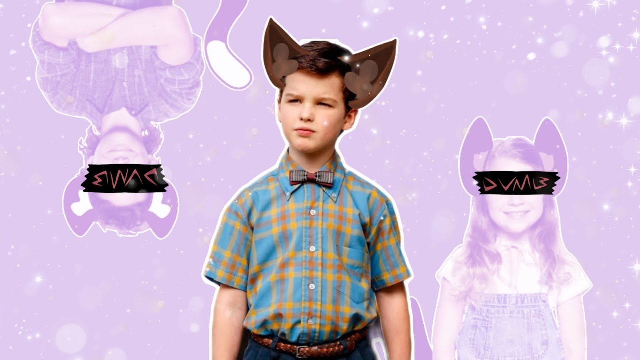 Everyone is dumb - Young Sheldon // Animation meme FW - YouTube