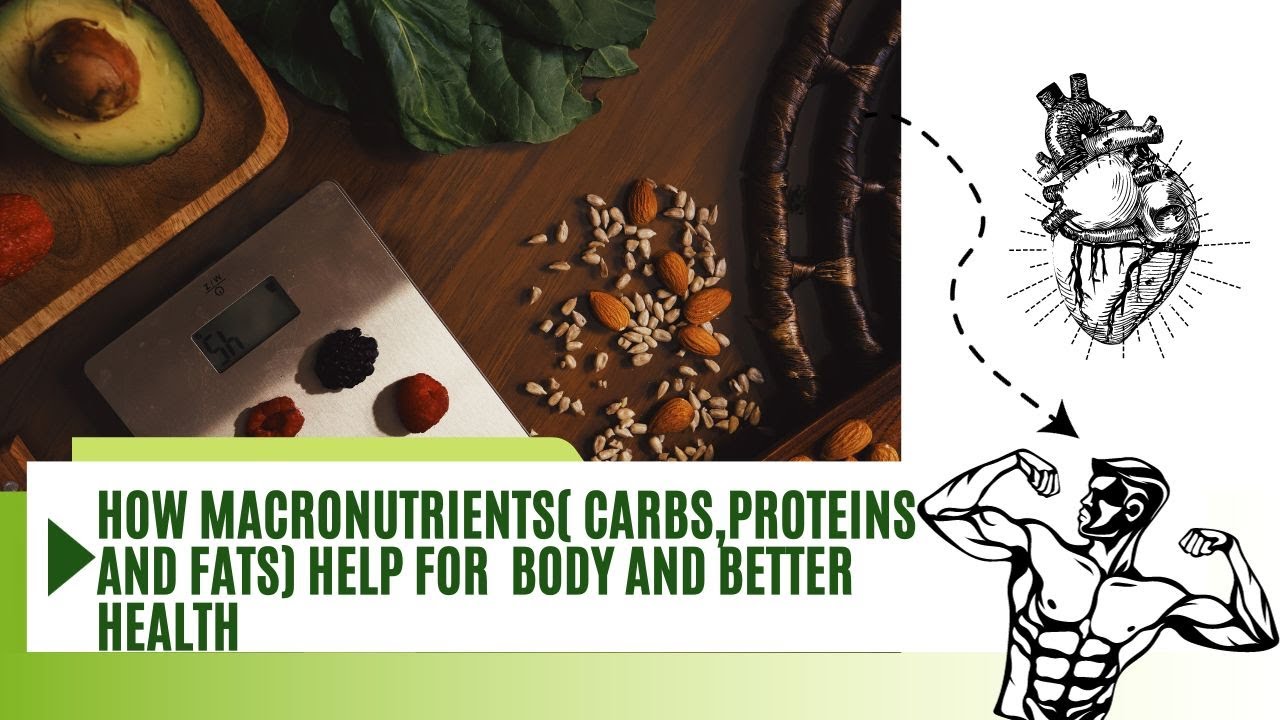 Fueling Your Body Right: The Ultimate Macronutrient Breakdown ...