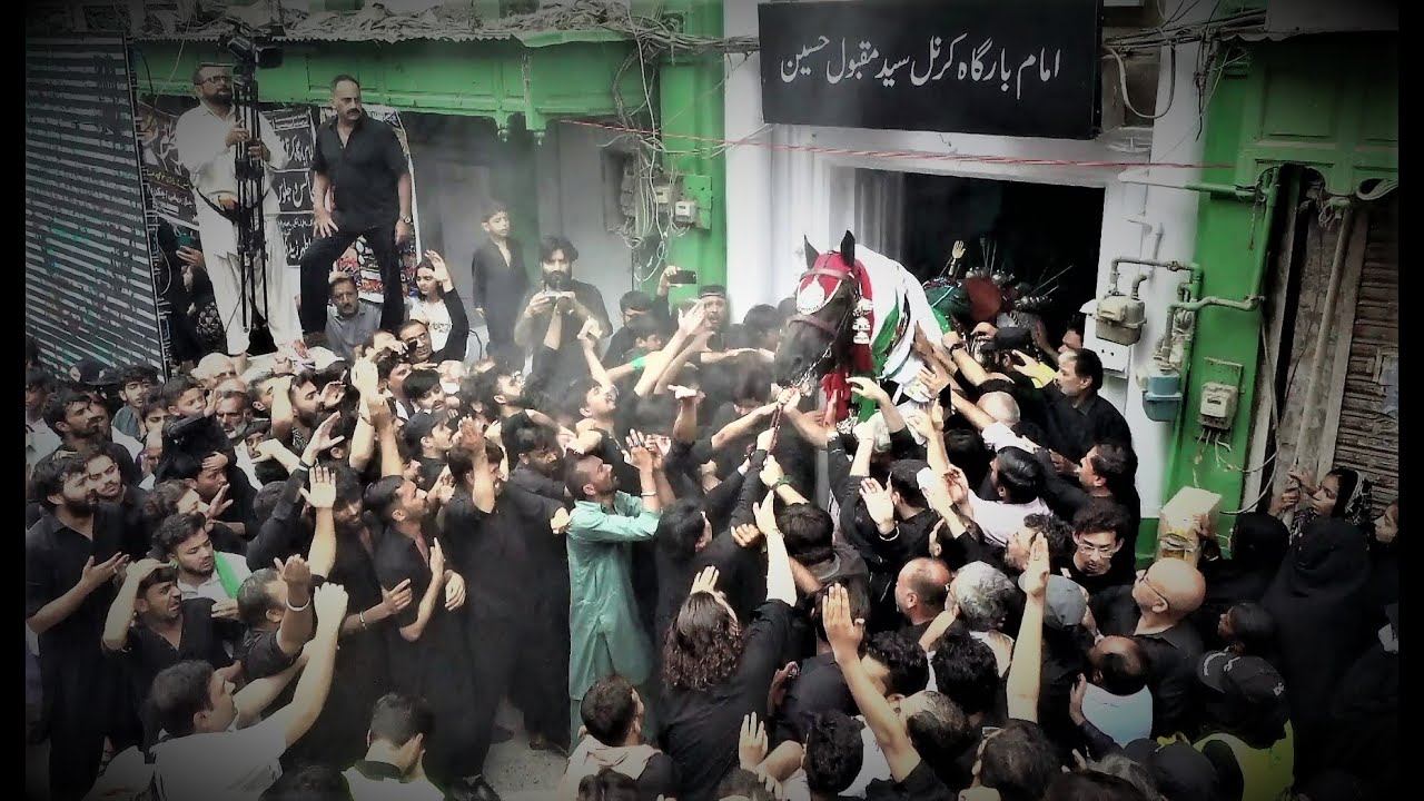 HIGHLIGHTS Zuljanah Baramdagi Markazi Jaloos Ashura 10 Muharram 1445H ...