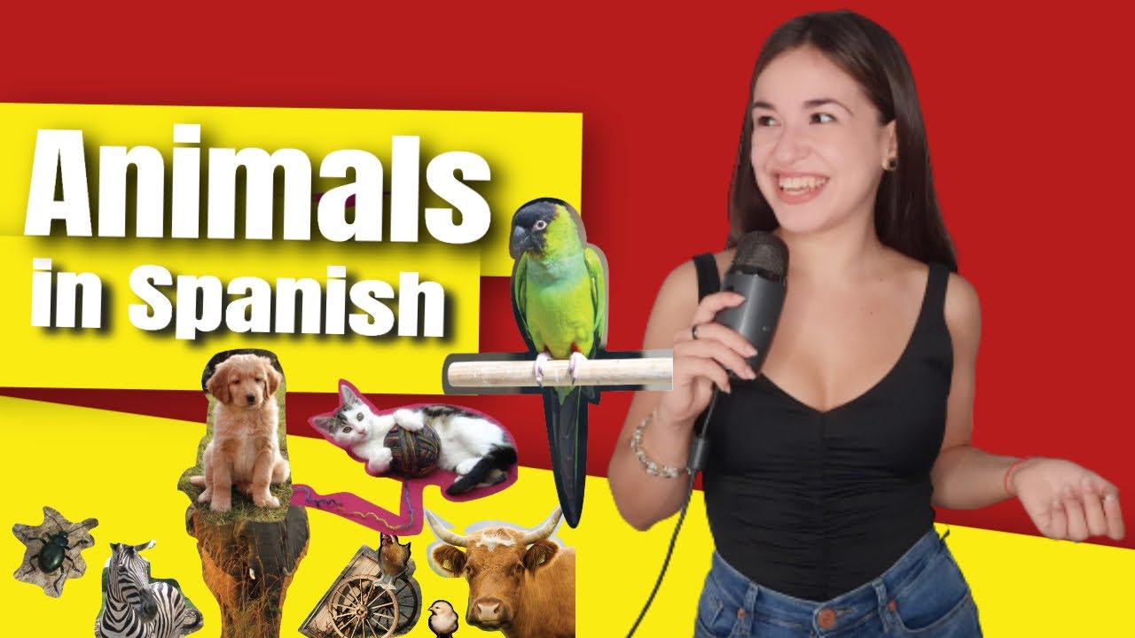Spanish Vocabulary Animals | Pets in Spanish - YouTube
