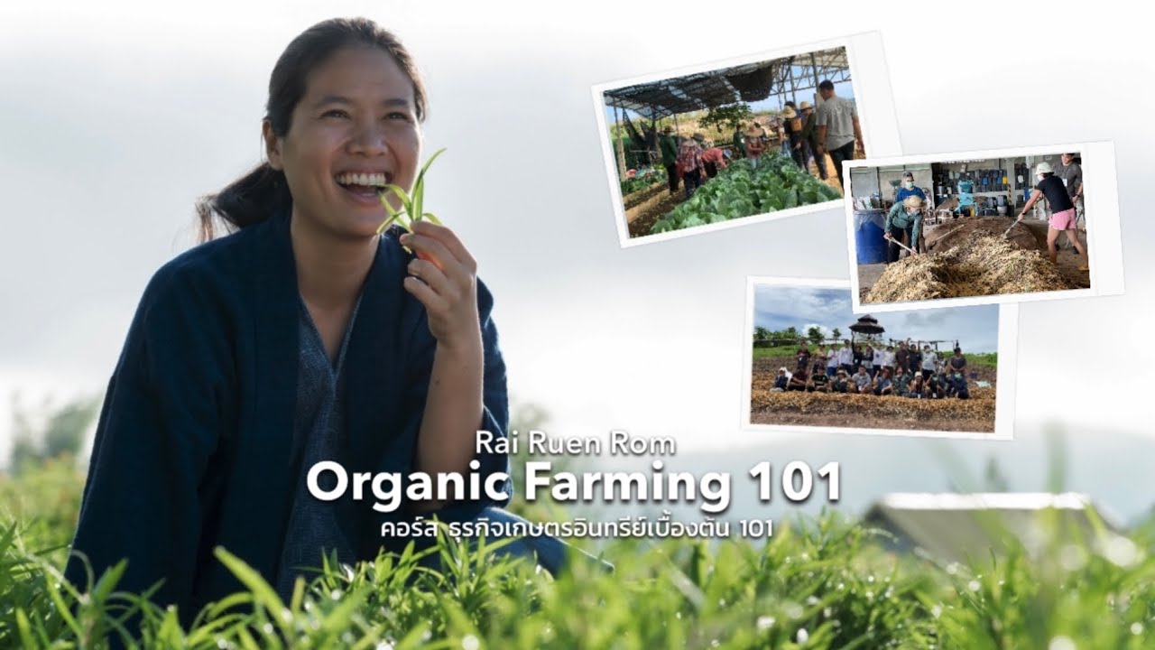 Highlight • Rai Ruen Rom Organic Farming 101 🥬 - YouTube