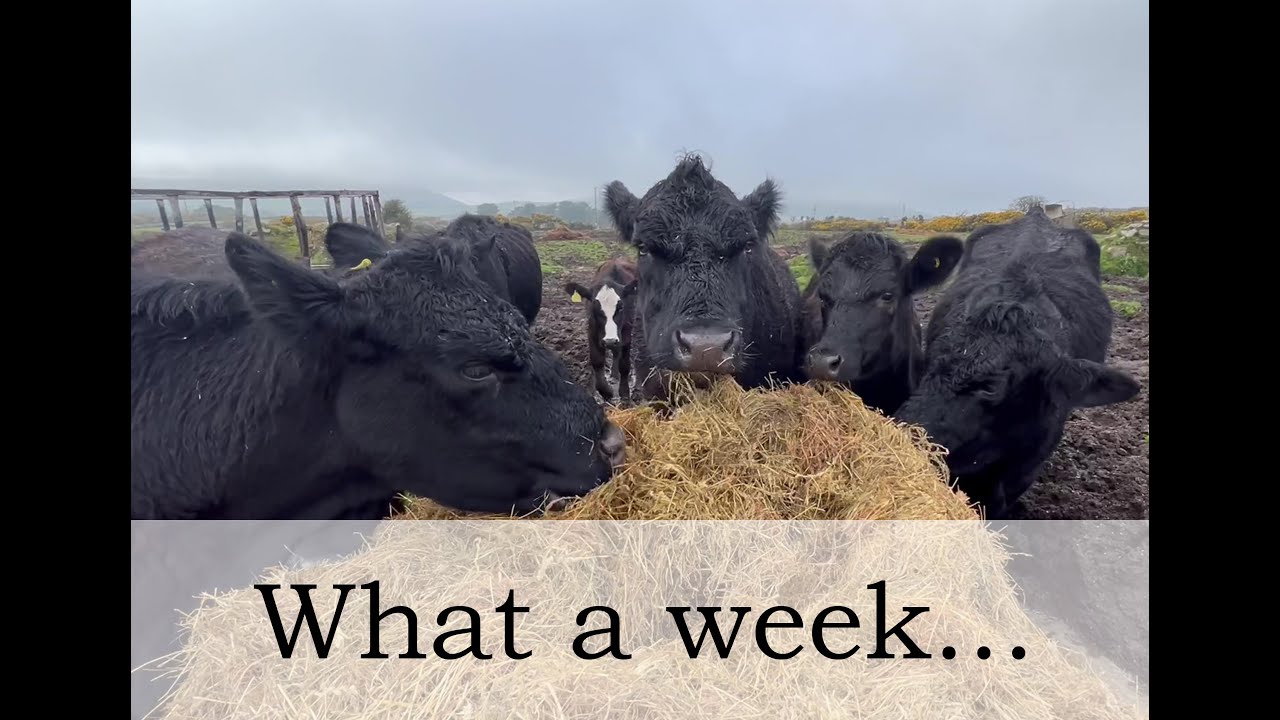 What a week... - YouTube