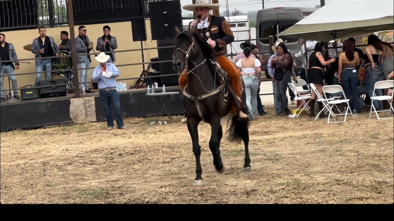 Cheque pena jr cantando a caballo - YouTube