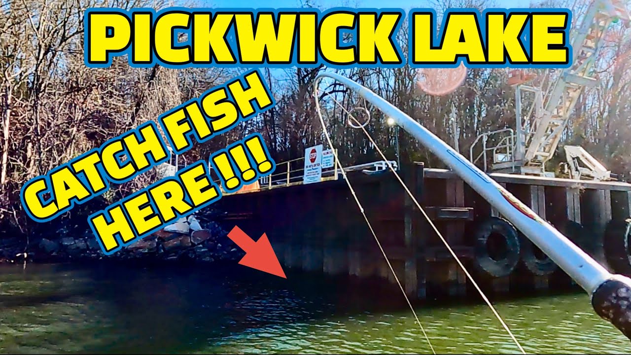 EXTREMELY AGGRESSIVE FISH BITE !! Fishing PICKWICK LAKE on TENNESSEE ...