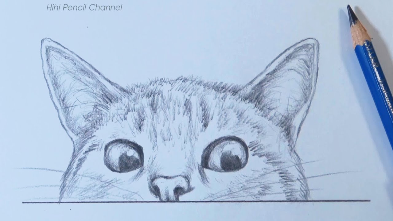 How To Draw Cute Cat Step By Step Pencil Drawing YouTube how-to-draw-cute-cat-step-by-step-pencil-drawing-youtube