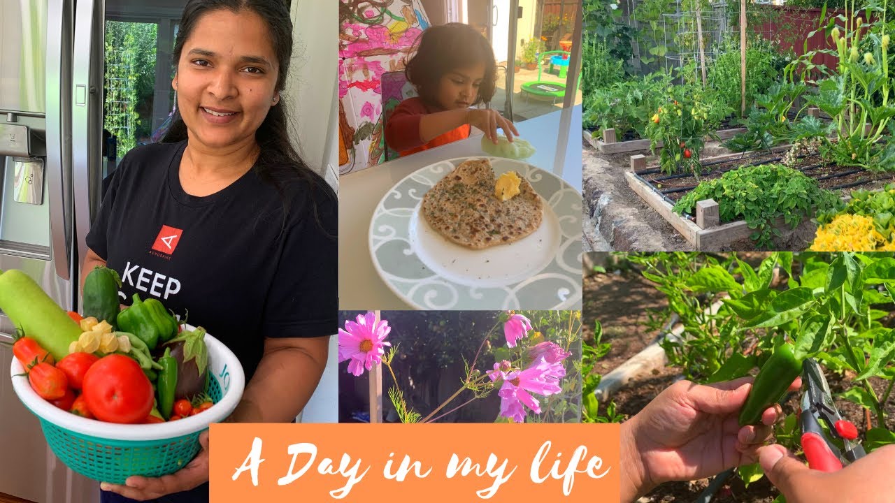 LIFE IN A DAY 2020 - A day in my life, July 25, 2020- YouTube's ...