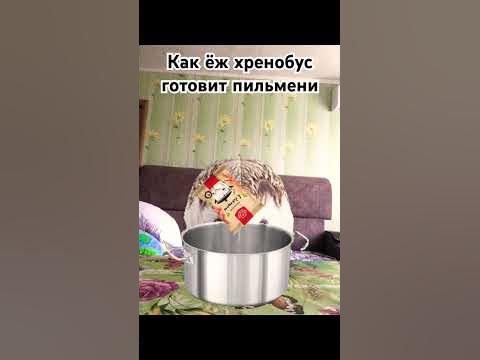 Как ёж хренобус готовит пильмени - YouTube