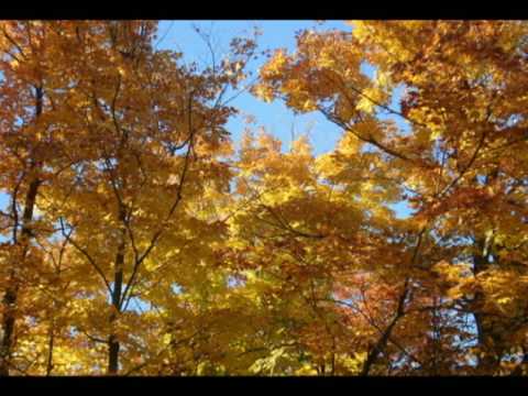 Autumn Leaves - Crash Parallel - YouTube