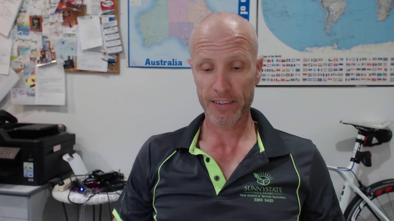 INR Testing Machine and Strips From Medshop - How It Works - YouTube