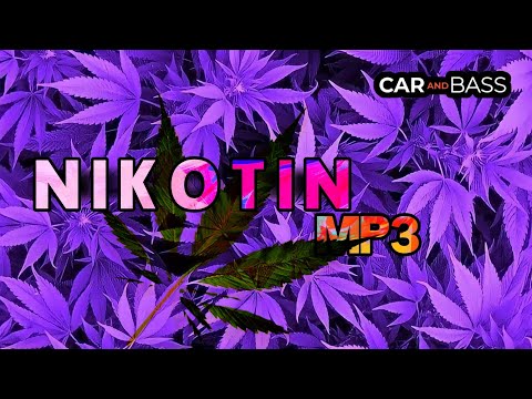NIKOTIN MP3 CAR AND BASS 🚬