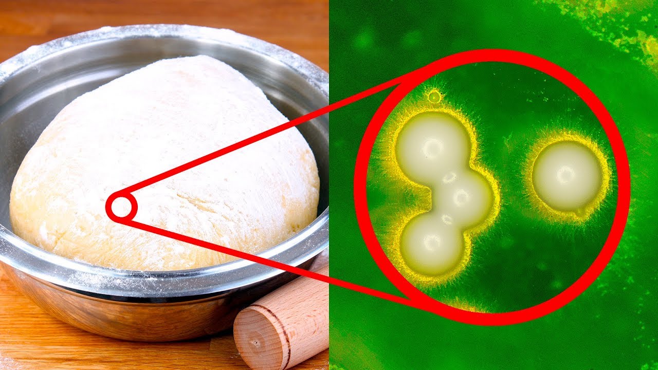 14 Oggetti Visti Al Microscopio Che Non Riconoscerai - YouTube