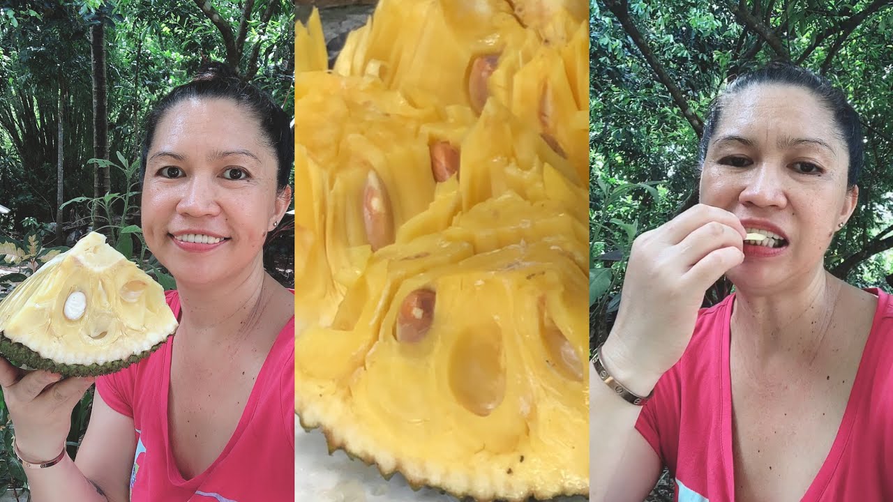 Jackfruit/Langka ang tamis nito! - YouTube