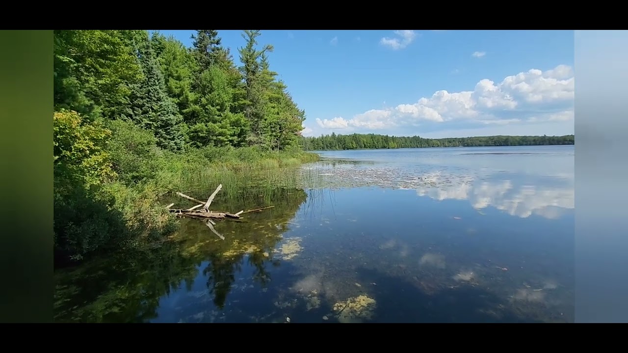 Triangle Lake Dispursed Sites - YouTube