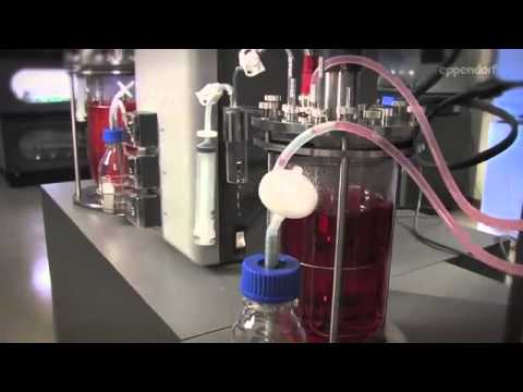 Eppendorf BioFlo CelliGen 115 - YouTube