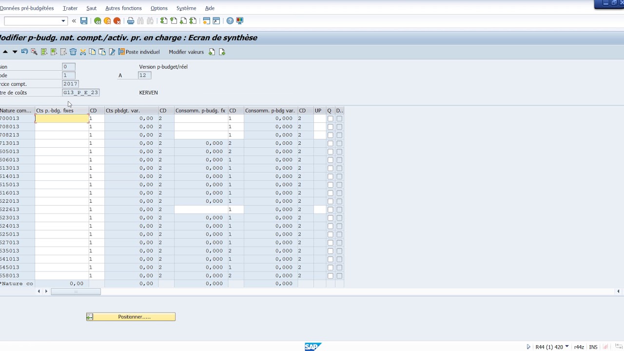 SAP Budget 1 pre budgetisation centre couts par ncp - YouTube