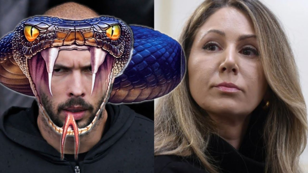 Andrew Tate's Lawyer Reverse Speech - "He's the Snake that Slithers." 🐍 ...