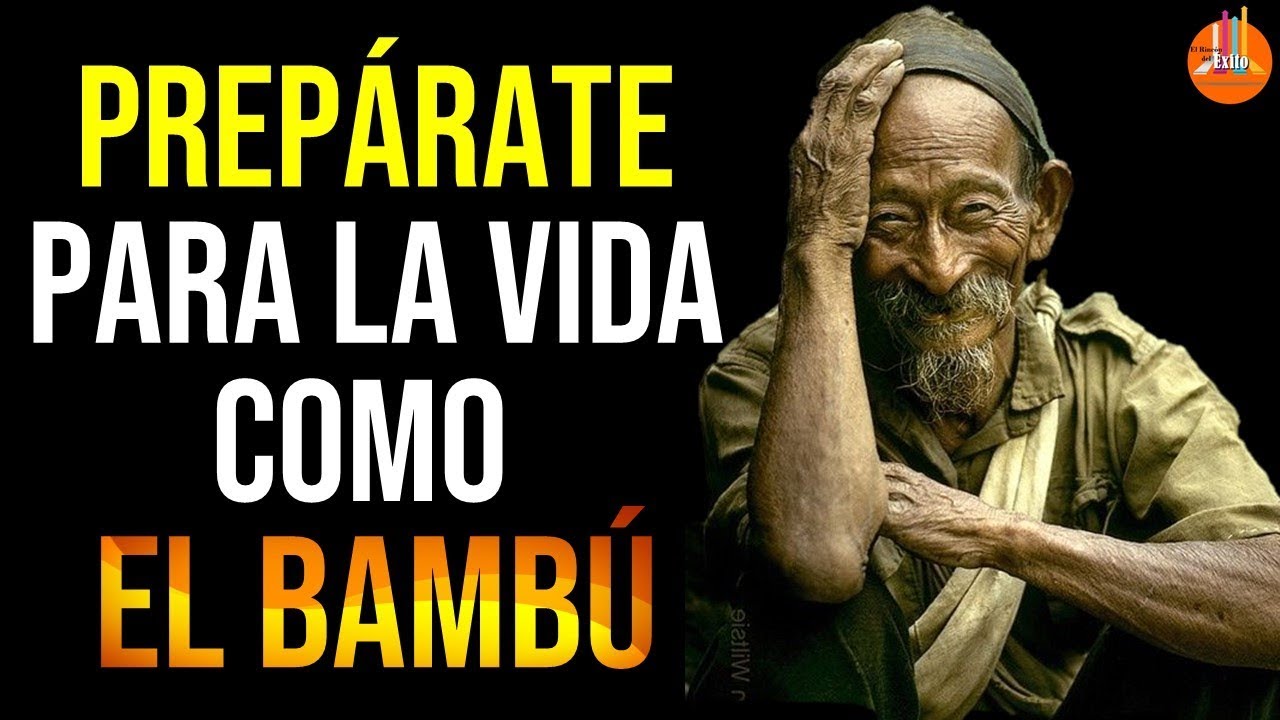 COMO PREPARARSE PARA LA VIDA | METÁFORA SOBRE EL BAMBÚ | AUTOAYUDA Y ...