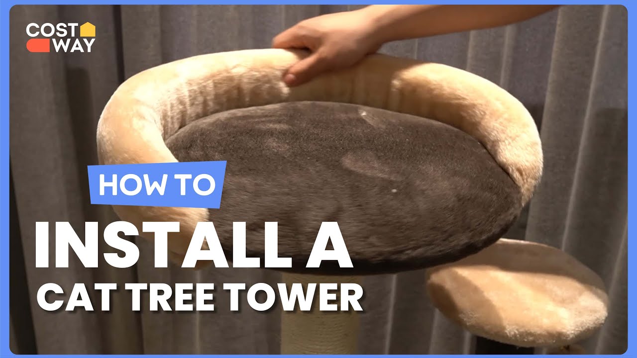 How to Install the 40 Inch Cat Tree Tower Multi-Level Activity Tree ...