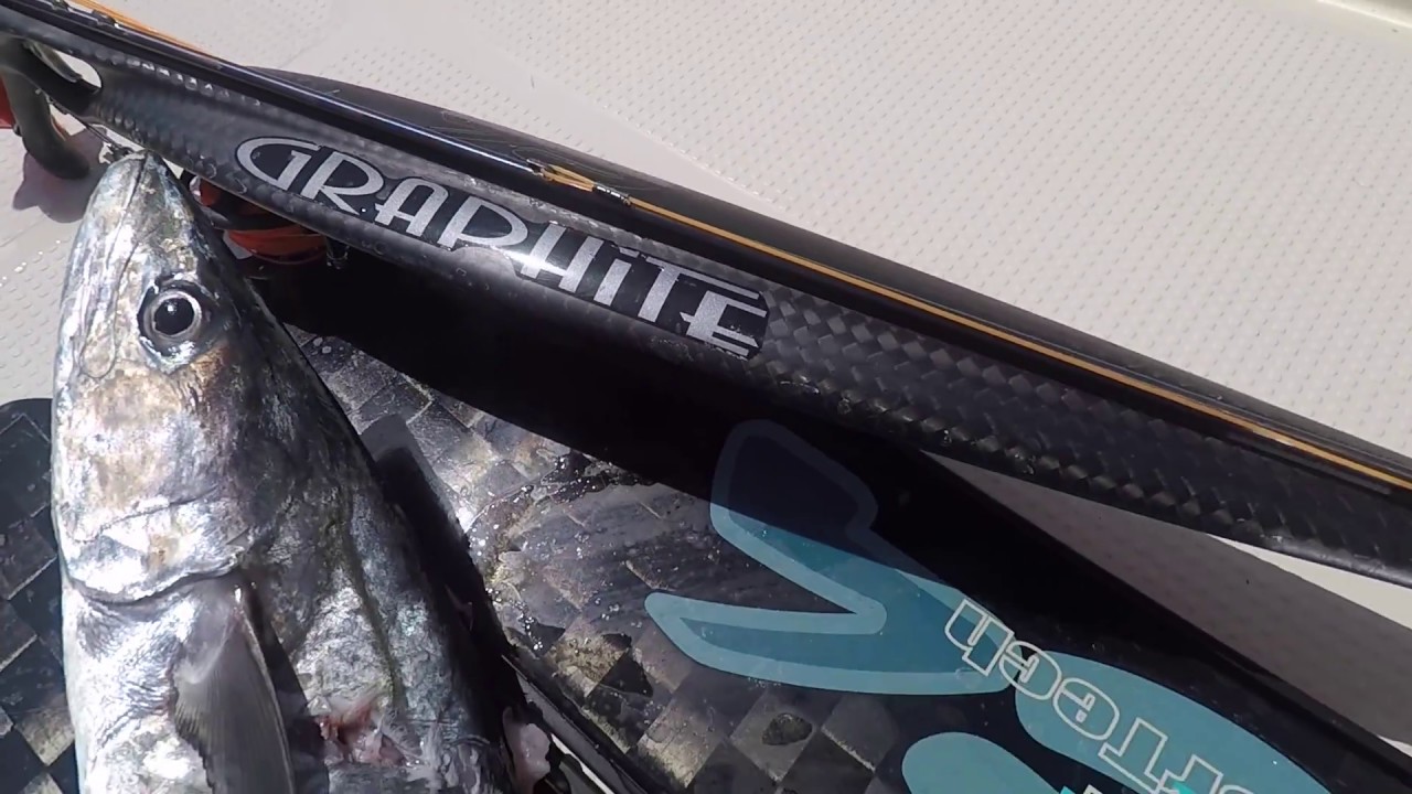 C4 Graphite 116 speargun flasher spearfishing abudhabi king fish ...