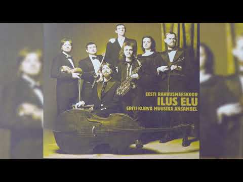 Eriti Kurva Muusika Ansambel - 21. Sajandi Paine