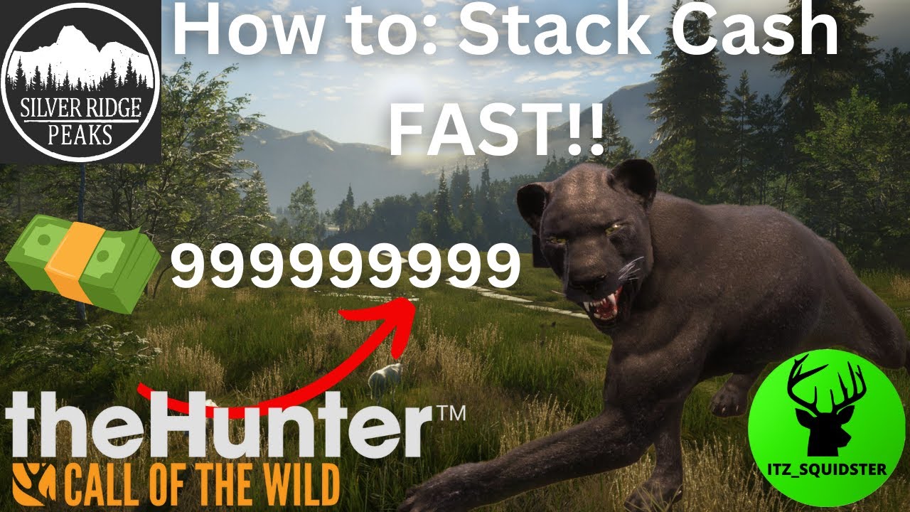 How to Stack CASH FAST 2023!!! | thehunter: call of the wild - YouTube