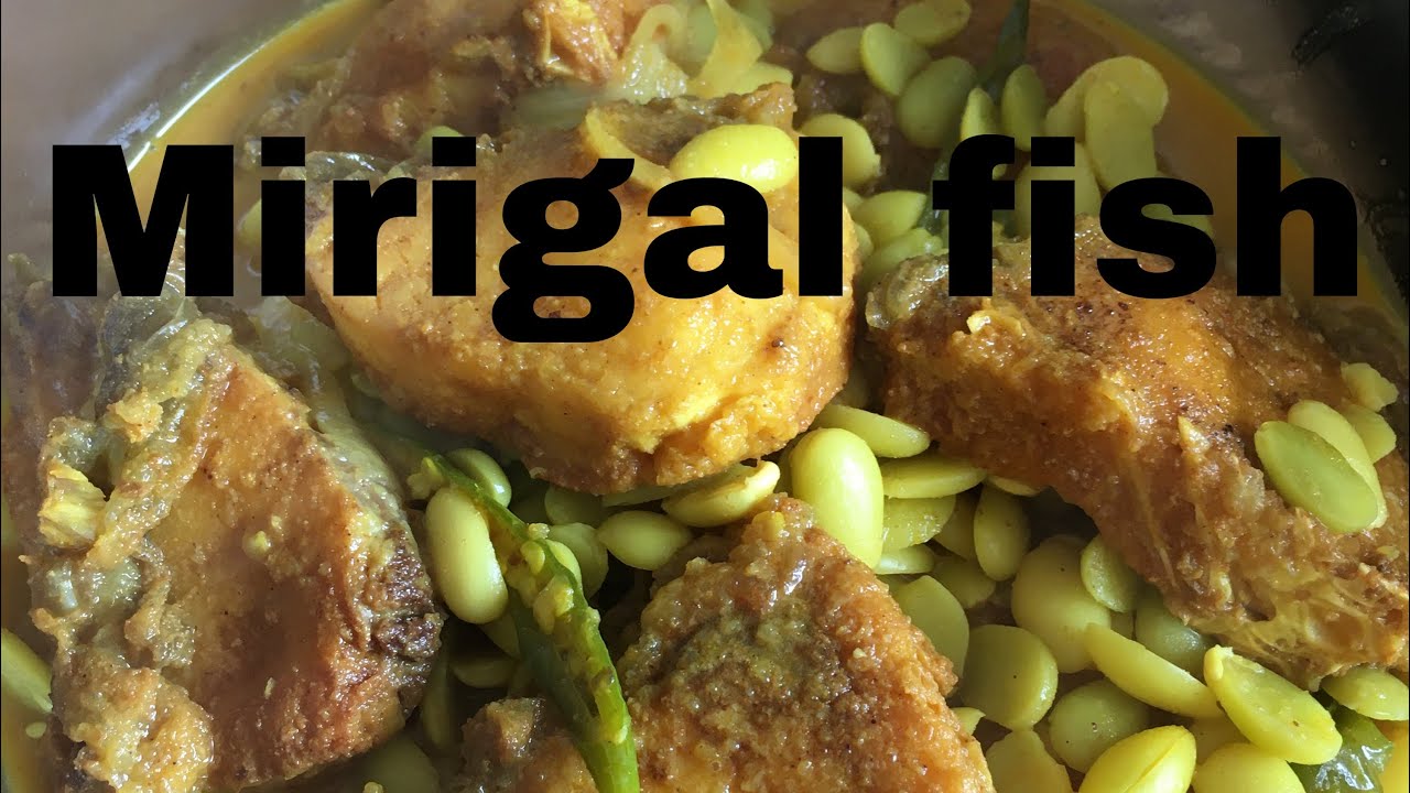 Mirigal fish with bean seed curry | Billah’s Rannaghor - YouTube