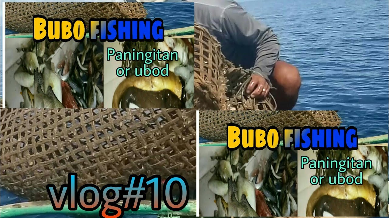 Bubo harvest#bamboo fish trap//Nakahuli kme ng Eel - YouTube