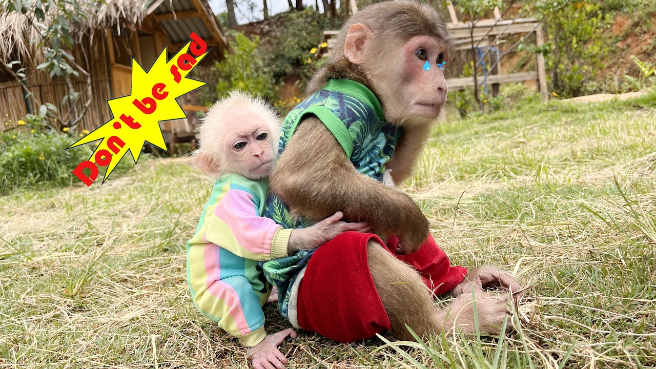 Max feeling lonely in his House 😭 Do You still Love Max, Dad 🥲🥲🥲 - YouTube