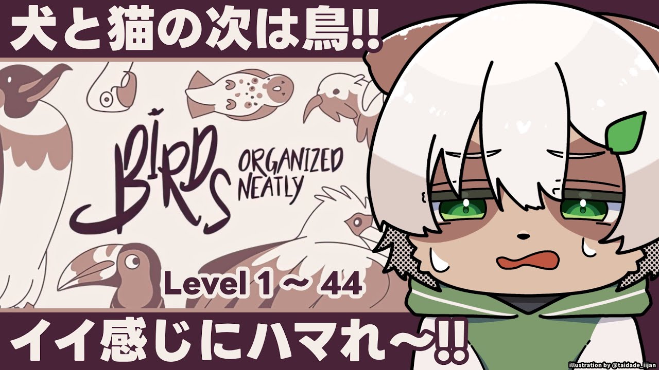 【Birds Organized Neatly】#1 鳥を詰め込む！なんかいい具合にハマれ～！と祈るパズル【#Vtuber】 - YouTube