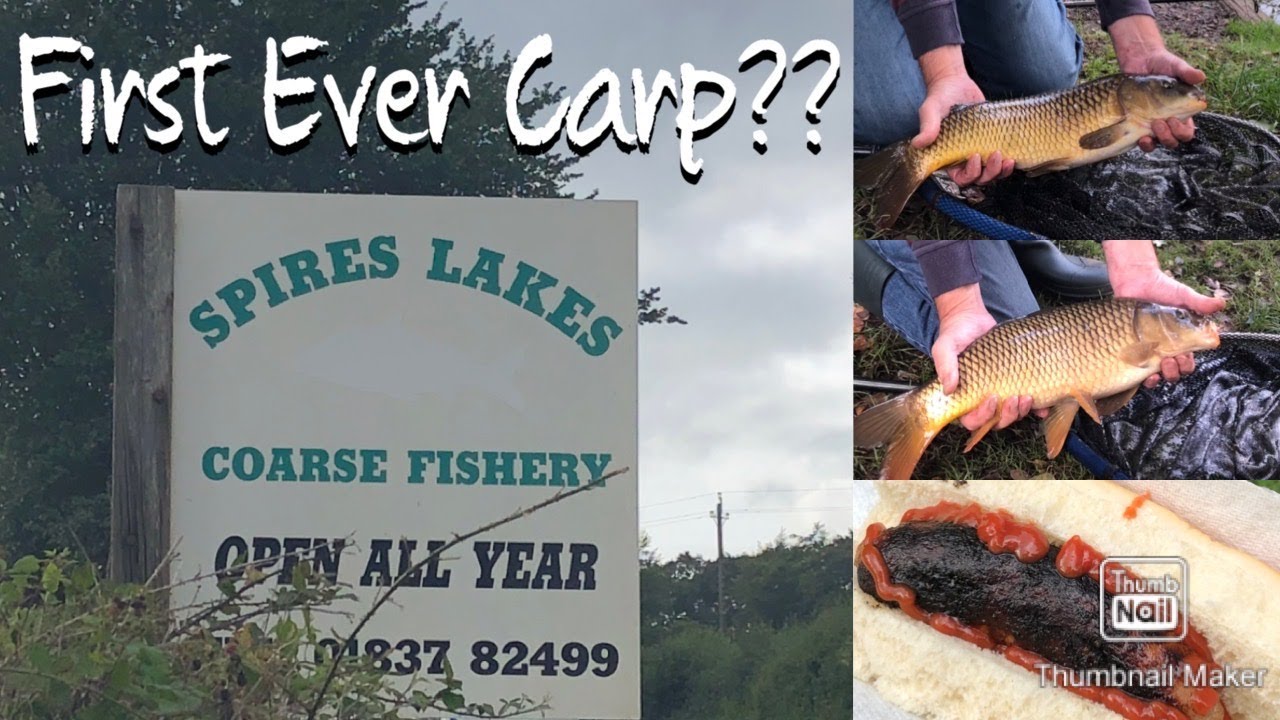 The Quest for my FIRST EVER CARP.. !! course fishing at SPIRES LAKES ...